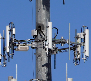 Everything You Need to Know About Cell Towers | Bug Tussel