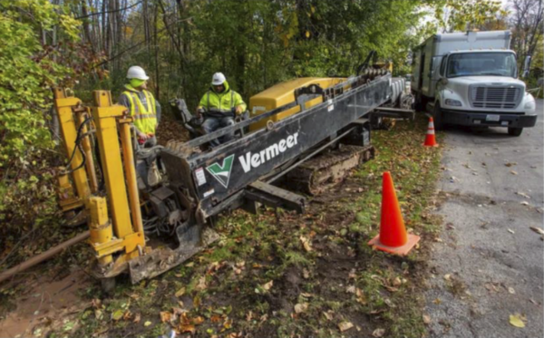 Bug Tussel Explodes in Growth | Bug Tussel